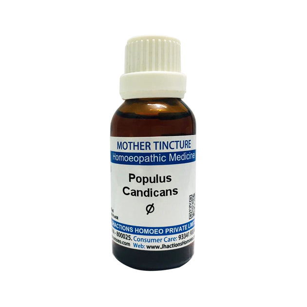 Populus Candicans Q - Pure Mother Tincture 30ml | ShopHomeo®